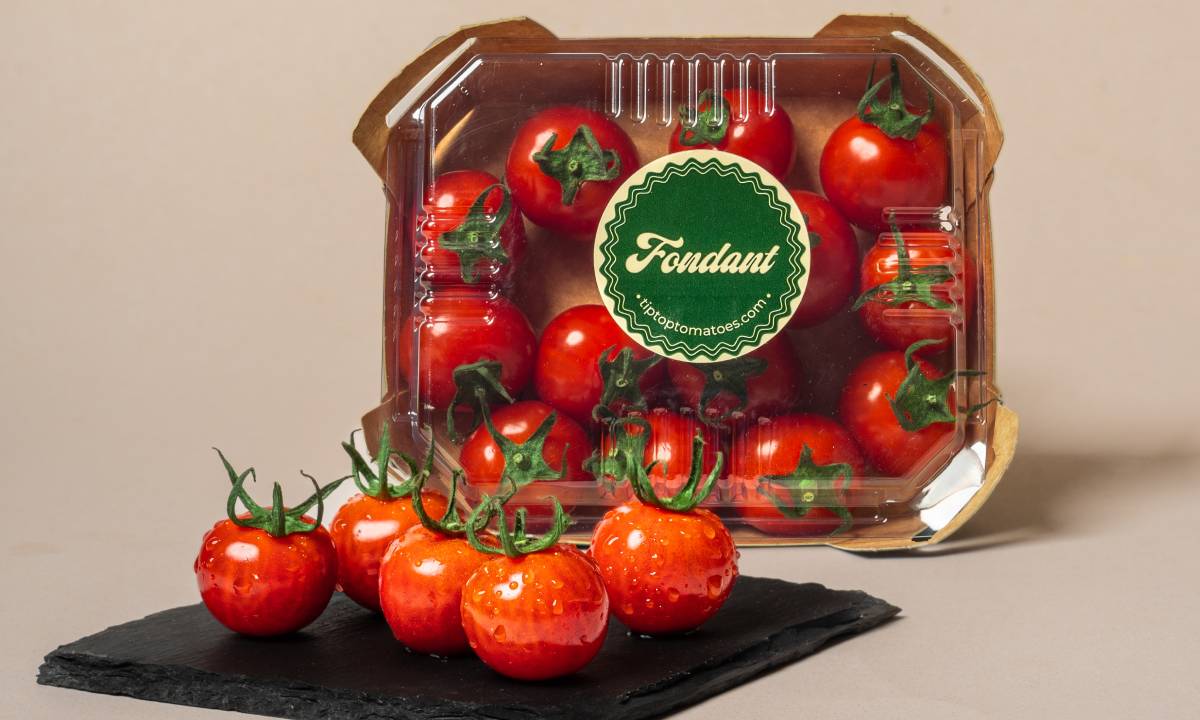 Tomàquet mini fondant: tot el que has de saber d’aquesta delícia ...